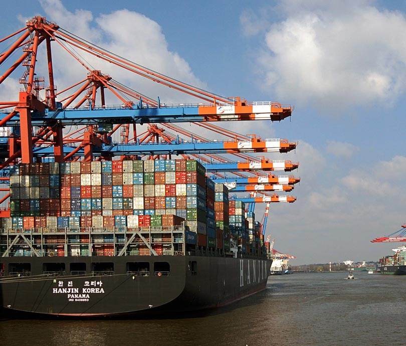 VG Trading – Food and Spice Exporters